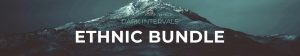 Ethnic Bundle by Dark Intervals | Audio Plugin Deals