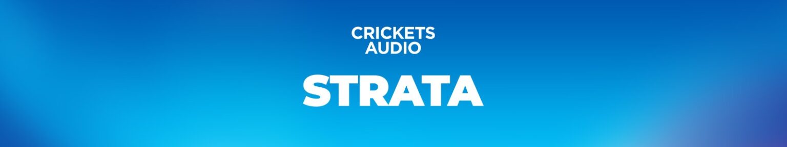 Strata by Crickets Audio | Audio Plugin Deals